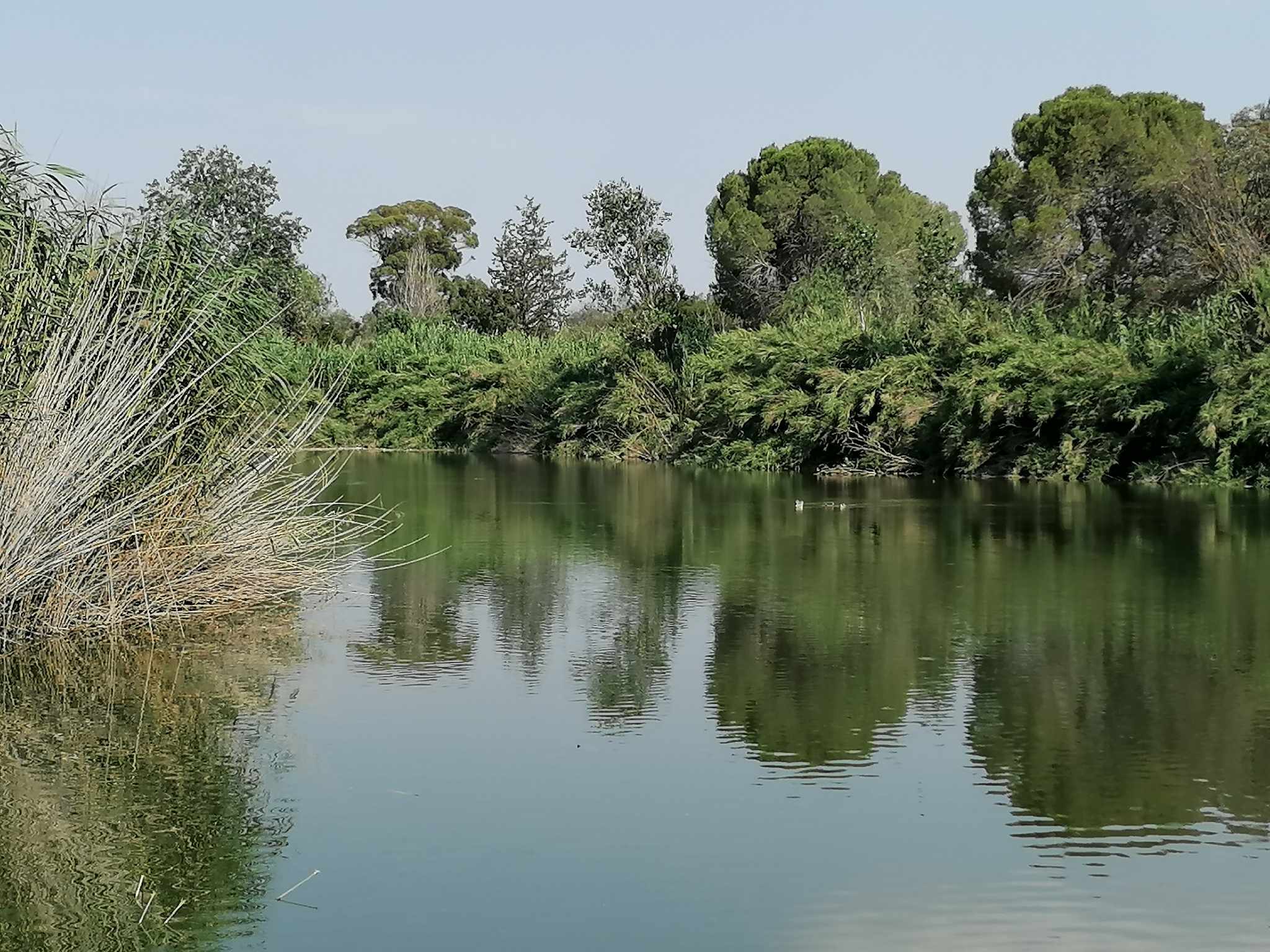 Children’s Fishing Day “Phivos Papachristoforou” – Cyprus Freshwater ...
